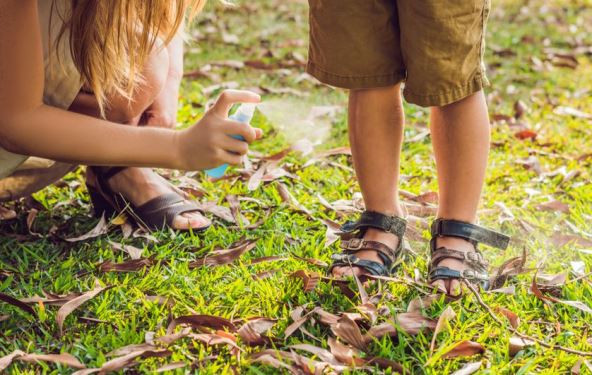 Ubodi i ugrizi insekata - Bolesti i stanja - Ringeraja.hr