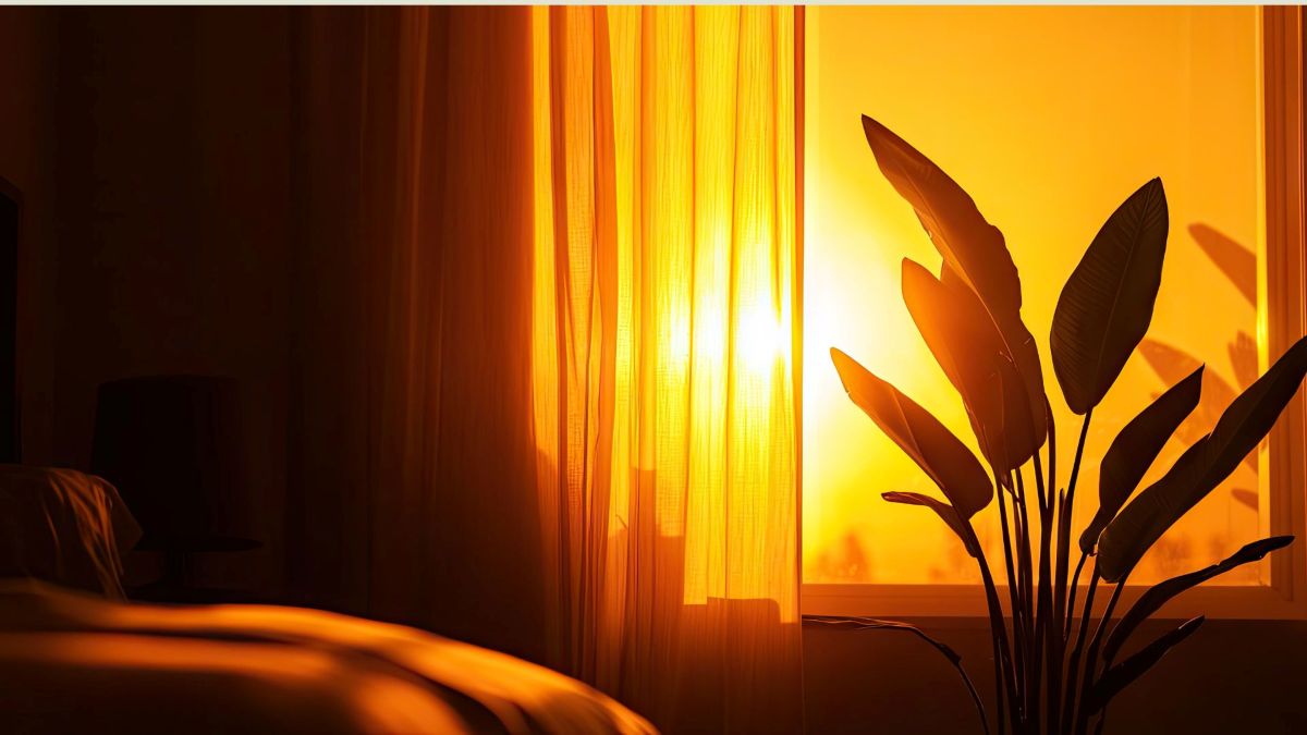 Секој ден по малку и животот се менува - Живот - Ringeraja.mk