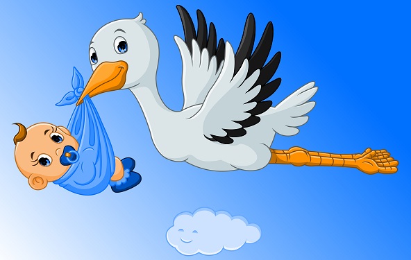 Zašto baš rode donose bebe? - Sve o bebama - Ringeraja.rs